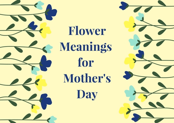 Flower Meanings | Mother's Day